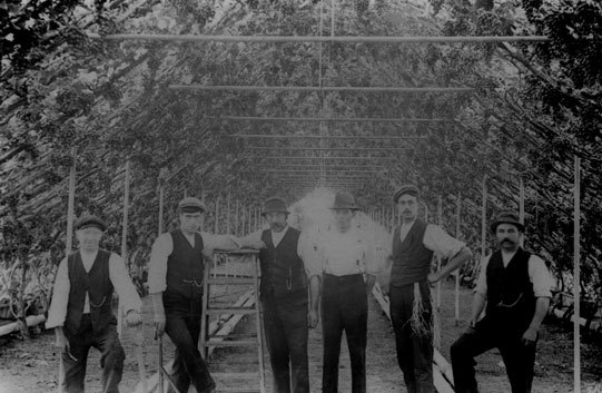 Church family :: Bracon-ash-and-hethel-history