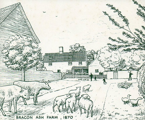 Home Farm :: Bracon-ash-and-hethel-history