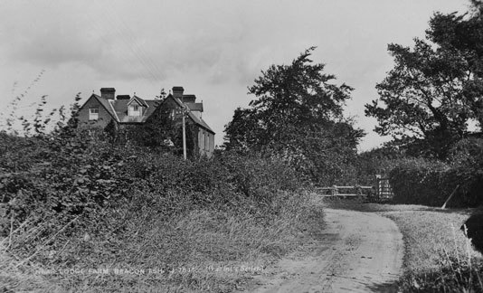 White :: Bracon-ash-and-hethel-history