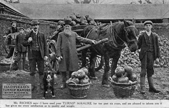 FARMS :: Bracon-ash-and-hethel-history