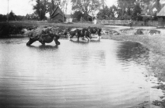 Mergate Farm :: Bracon-ash-and-hethel-history