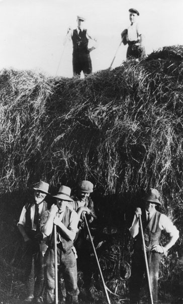 Mergate Farm :: Bracon-ash-and-hethel-history