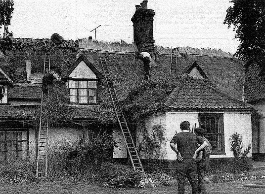 Mergate Farm :: Bracon-ash-and-hethel-history